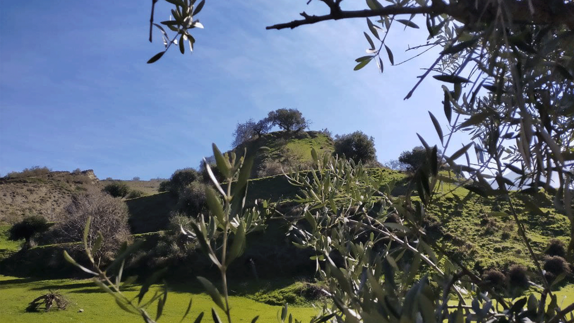 Monachil | ETU Initiative